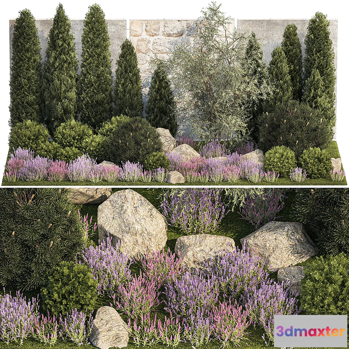 Beautiful garden with arborvitae and landscaping with pine cypress ...